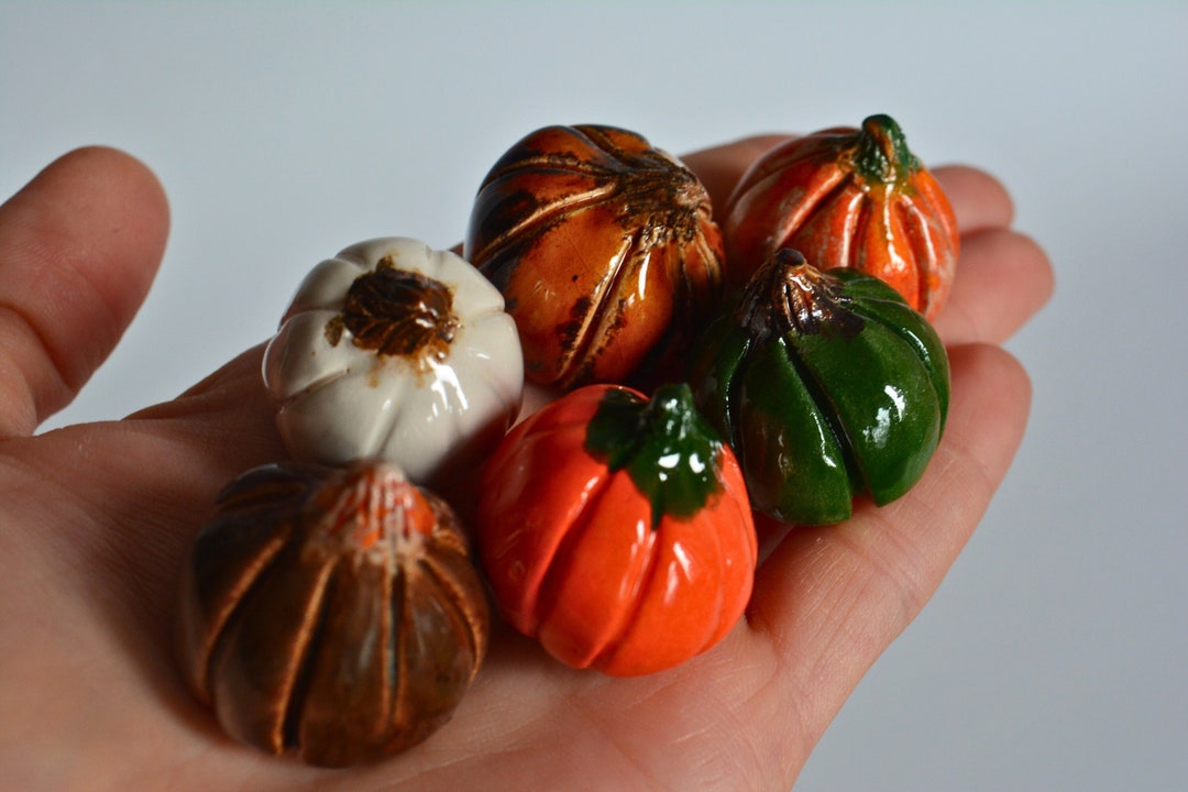 Mini Ceramic Pumpkin of 6 Set, Fancy Fall Coffee Table Decor Object ...