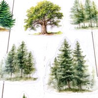 Poplar Tree Sticker, Tall Tree Decal, Windy Grove Vinyl, Forest Nature ...
