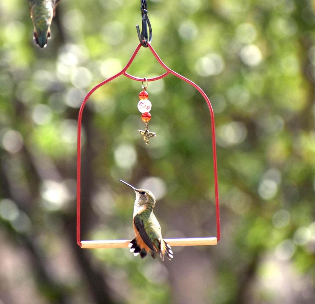 Ruby Red Bird Perch Swing for Garden, Hummingbird Swing for Outdoors ...