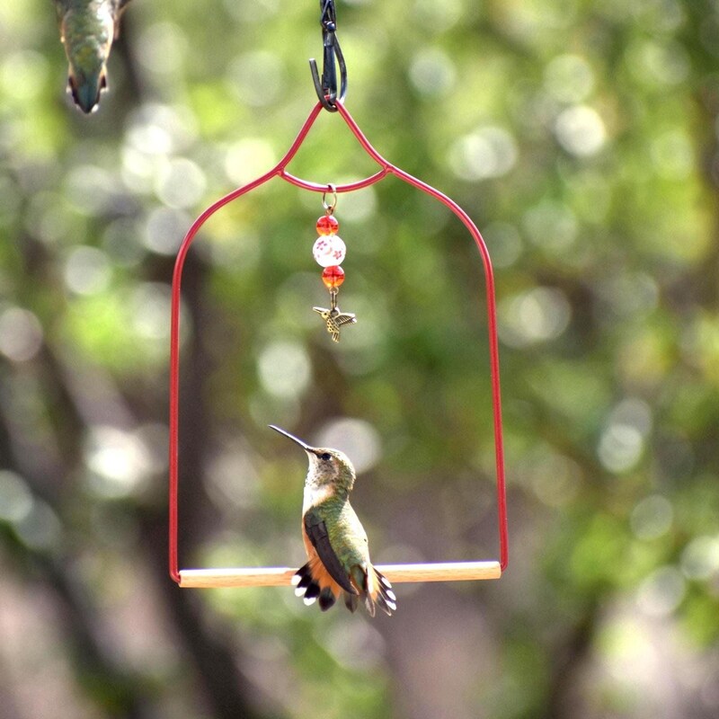 Hummingbird Swing - Etsy