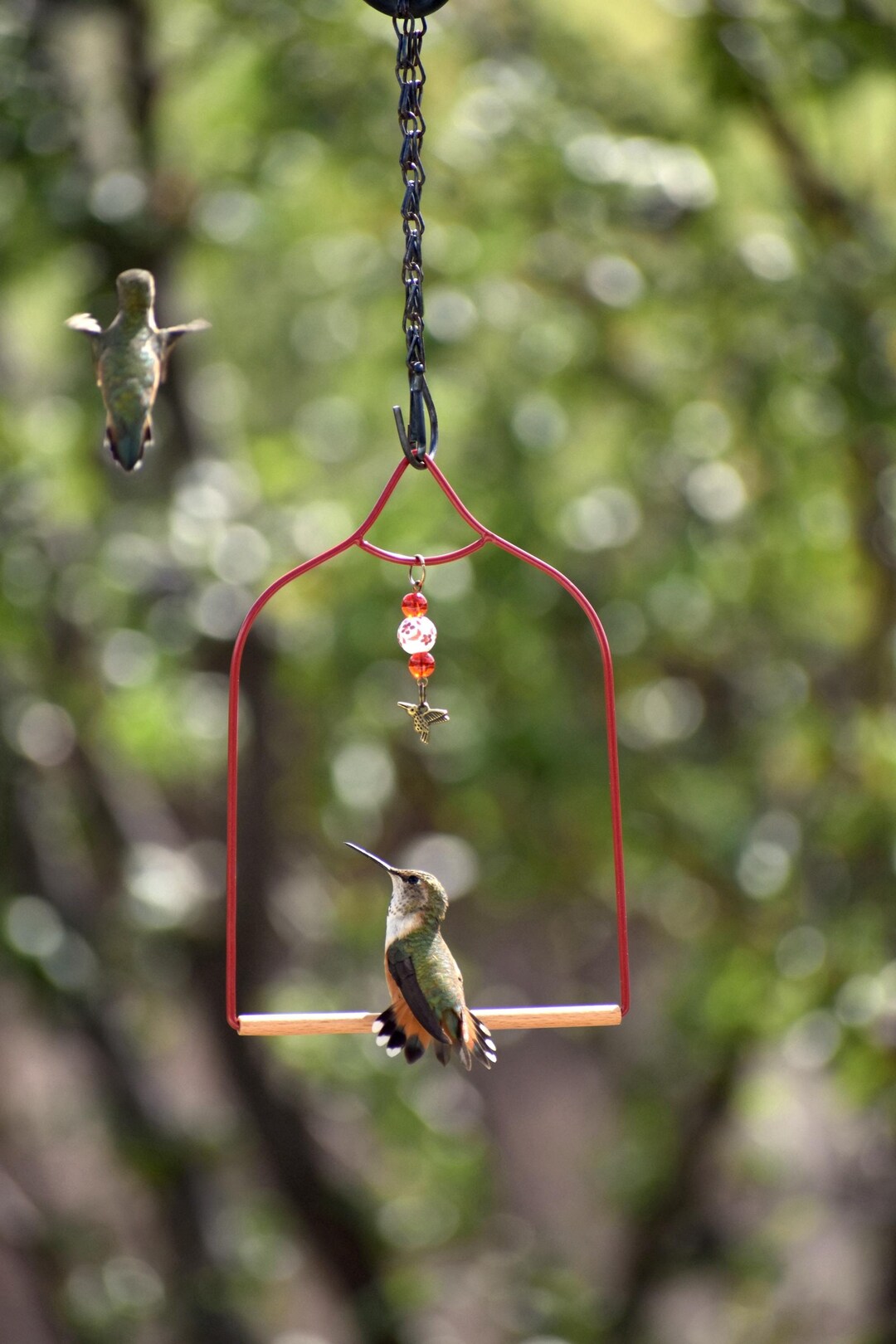 Ruby Red Bird Perch Swing for Garden, Hummingbird Swing for Outdoors ...