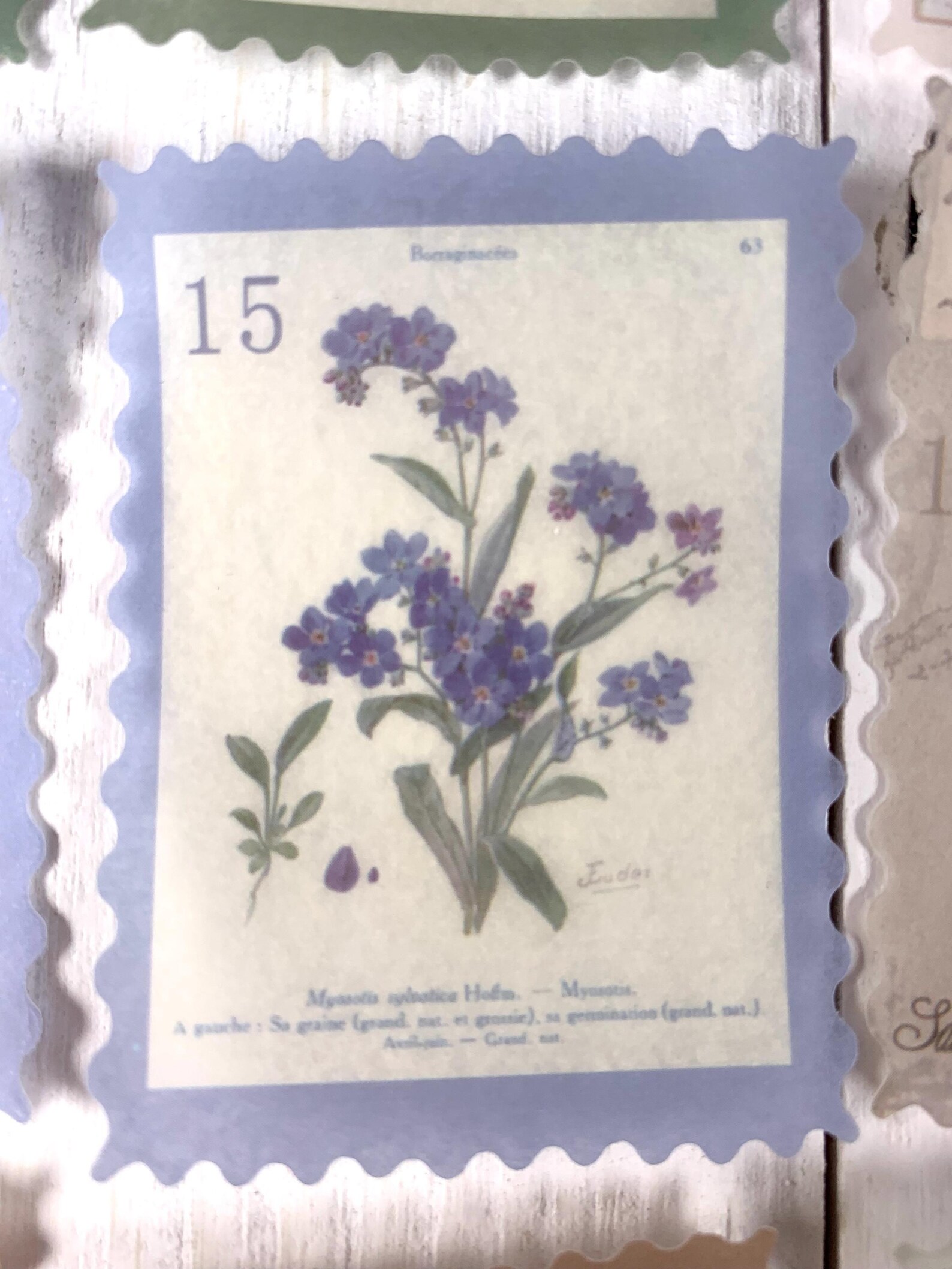 60 Vintage Stamp Style Stickers, Floral, Plant, Woodland Animals ...