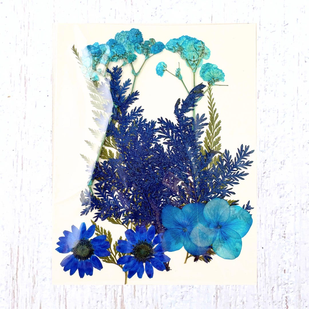 Dried Pressed Blue Flowers, Preserved Flowers and Leaves for Resin Art ...