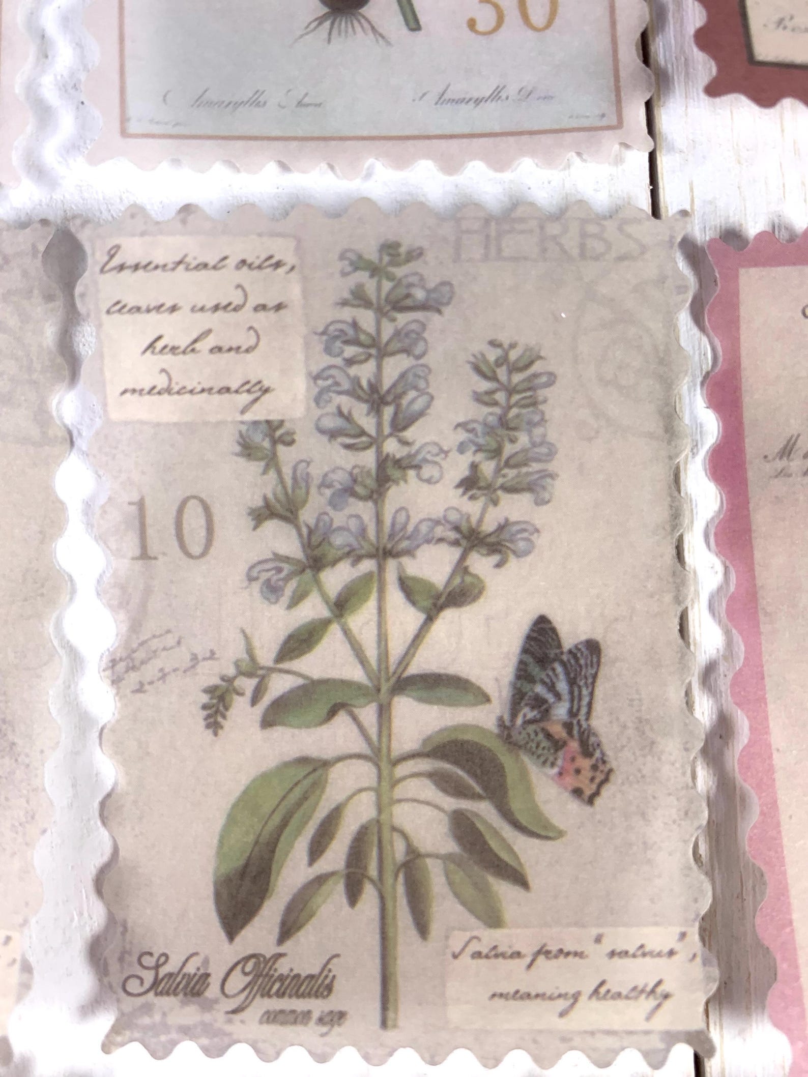 60 Vintage Stamp Style Stickers, Floral, Plant, Woodland Animals ...