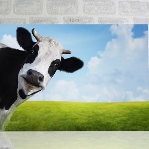 Peeking Round Corner Cow Canvas Wall Art Picture Print - Etsy UK
