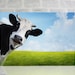 Peeking Round Corner Cow Canvas Wall Art Picture Print - Etsy UK