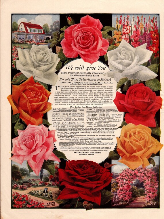 ROSES ROSES ROSES Advertising Page Needlecraft Magazine 1927 | Etsy