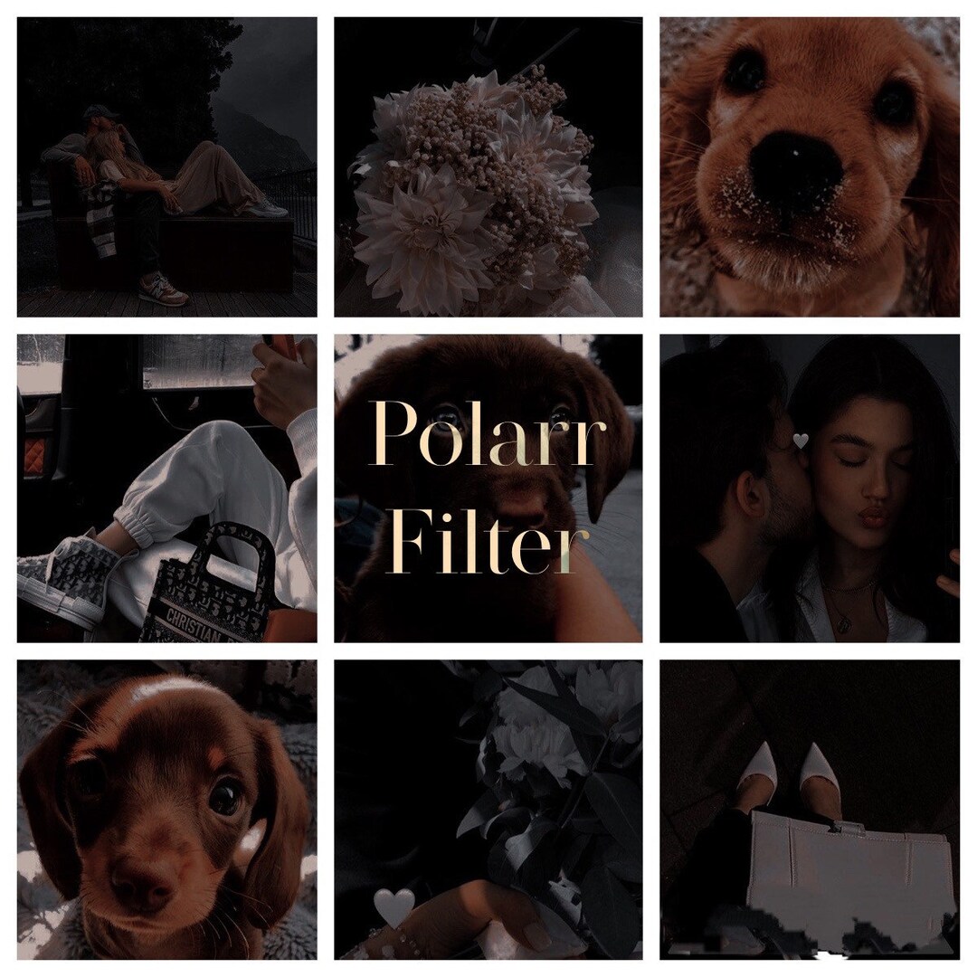 POLARR QR CODE Polarr Code Polarr Preset Polarr Preset Instant Download Code - Etsy UK