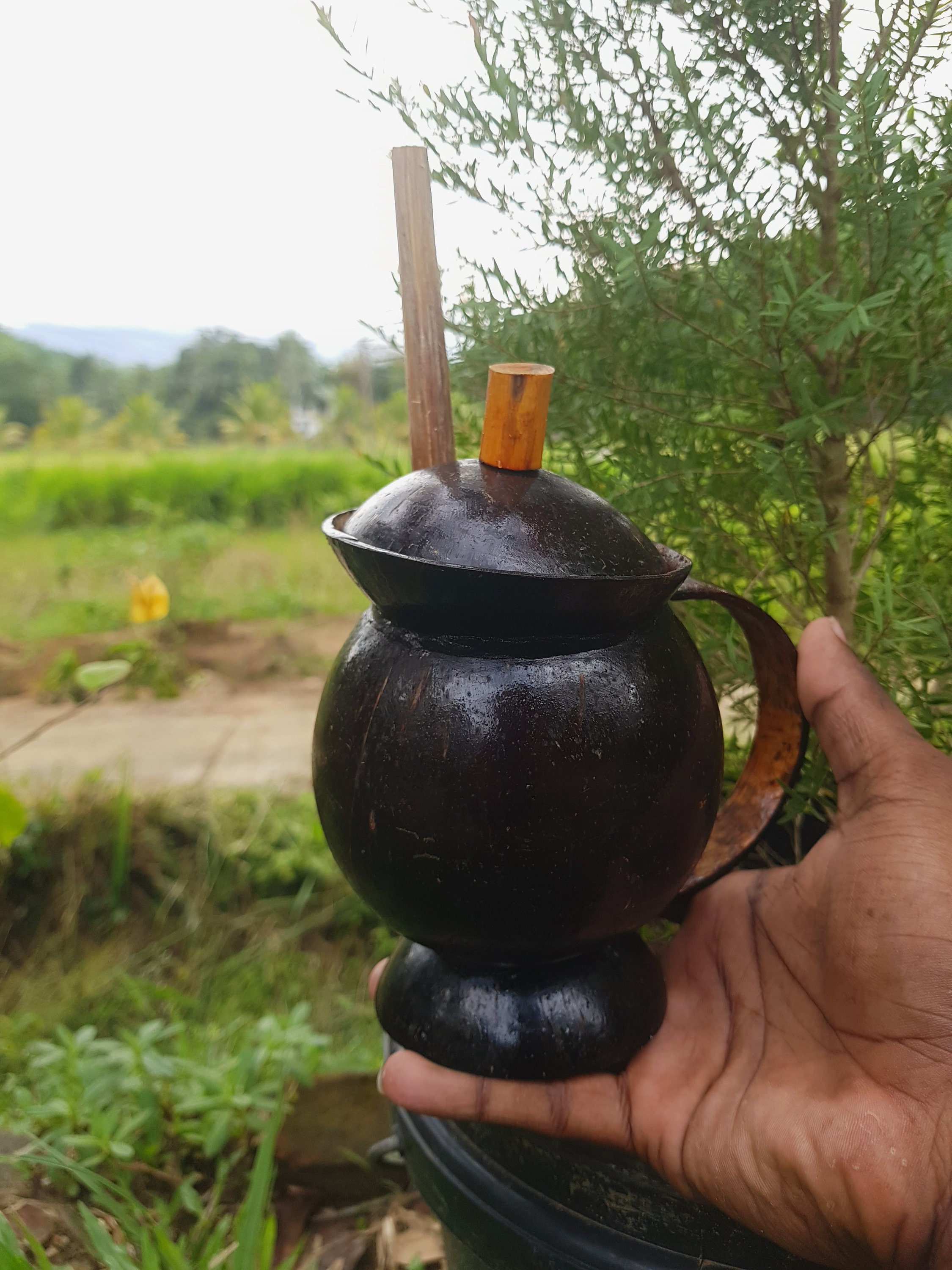 Ceylon Natural Coconut Salt Container With 1 Spoon, Coconut Shell ...