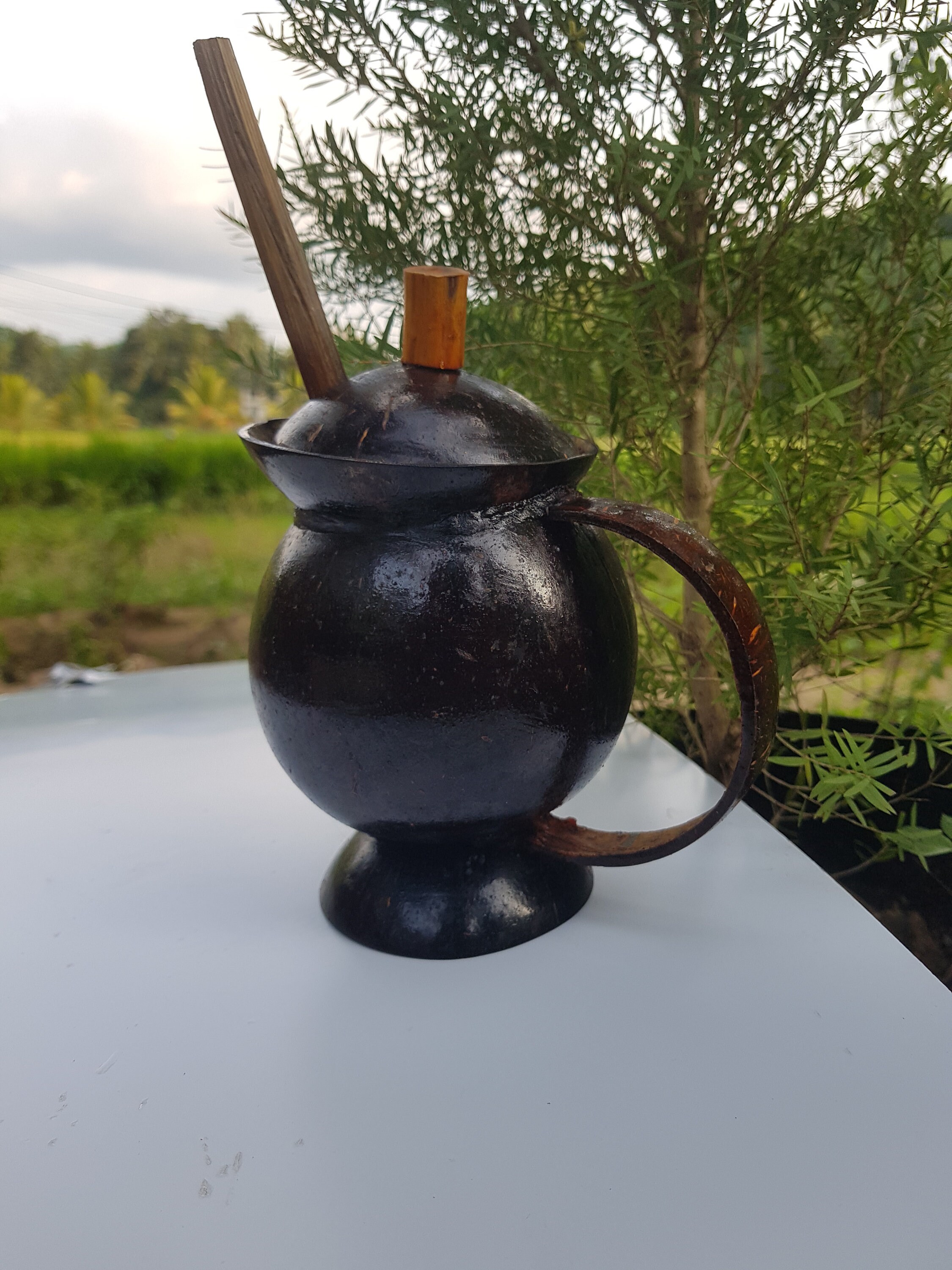 Ceylon Natural Coconut Salt Container With 1 Spoon, Coconut Shell ...