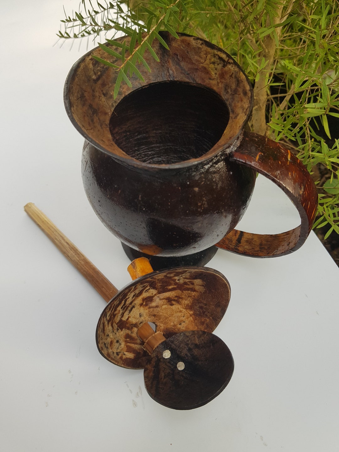 Ceylon Natural Coconut Salt Container With 1 Spoon, Coconut Shell ...