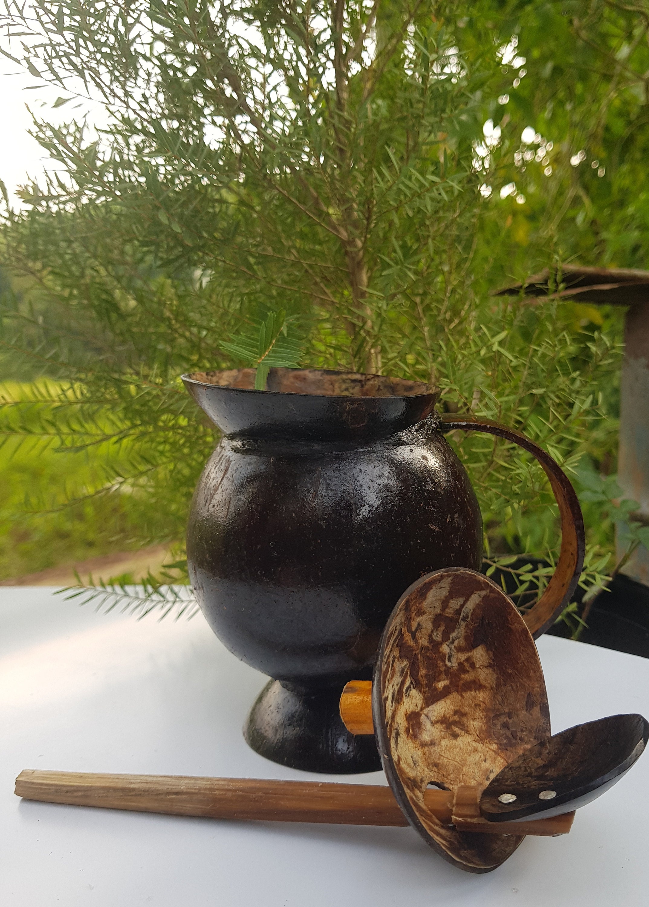 Ceylon Natural Coconut Salt Container With 1 Spoon, Coconut Shell ...