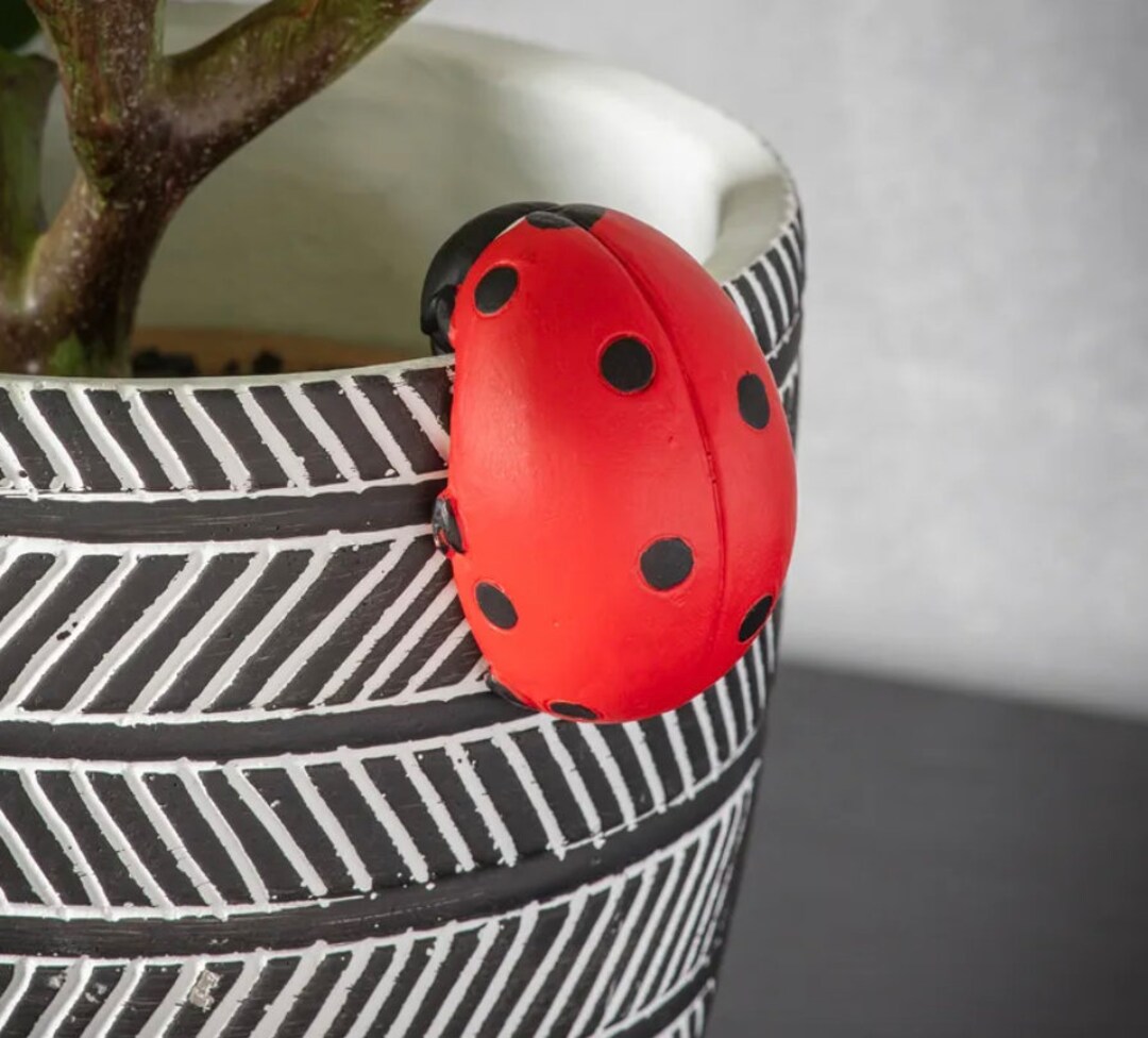 Ladybugs Pot Hanger - Hanging Pot Ornament - Plant Decoration - Pot ...