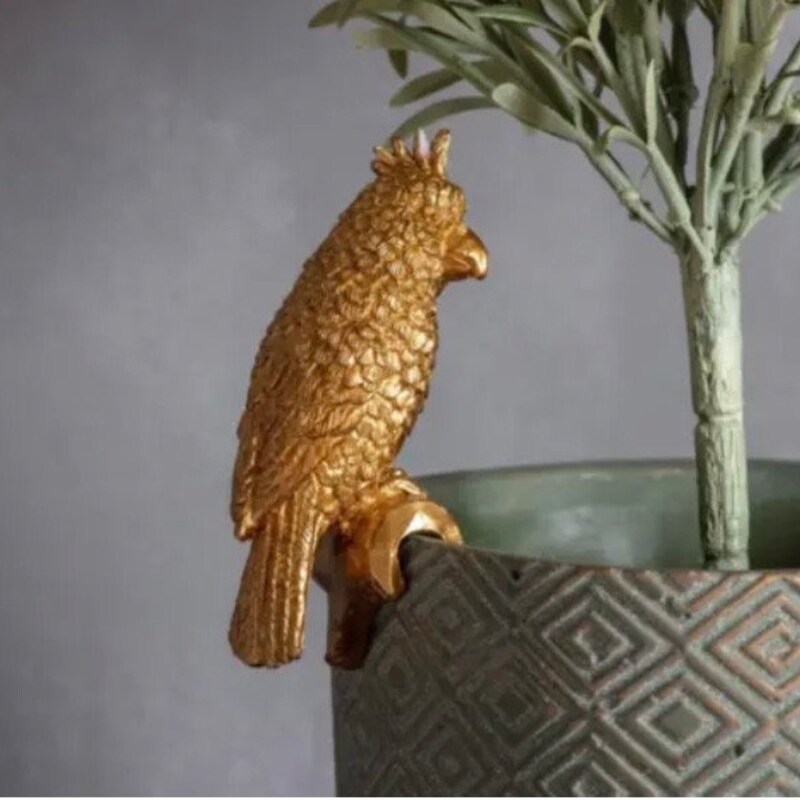 Hanging Parrot Pot - Etsy