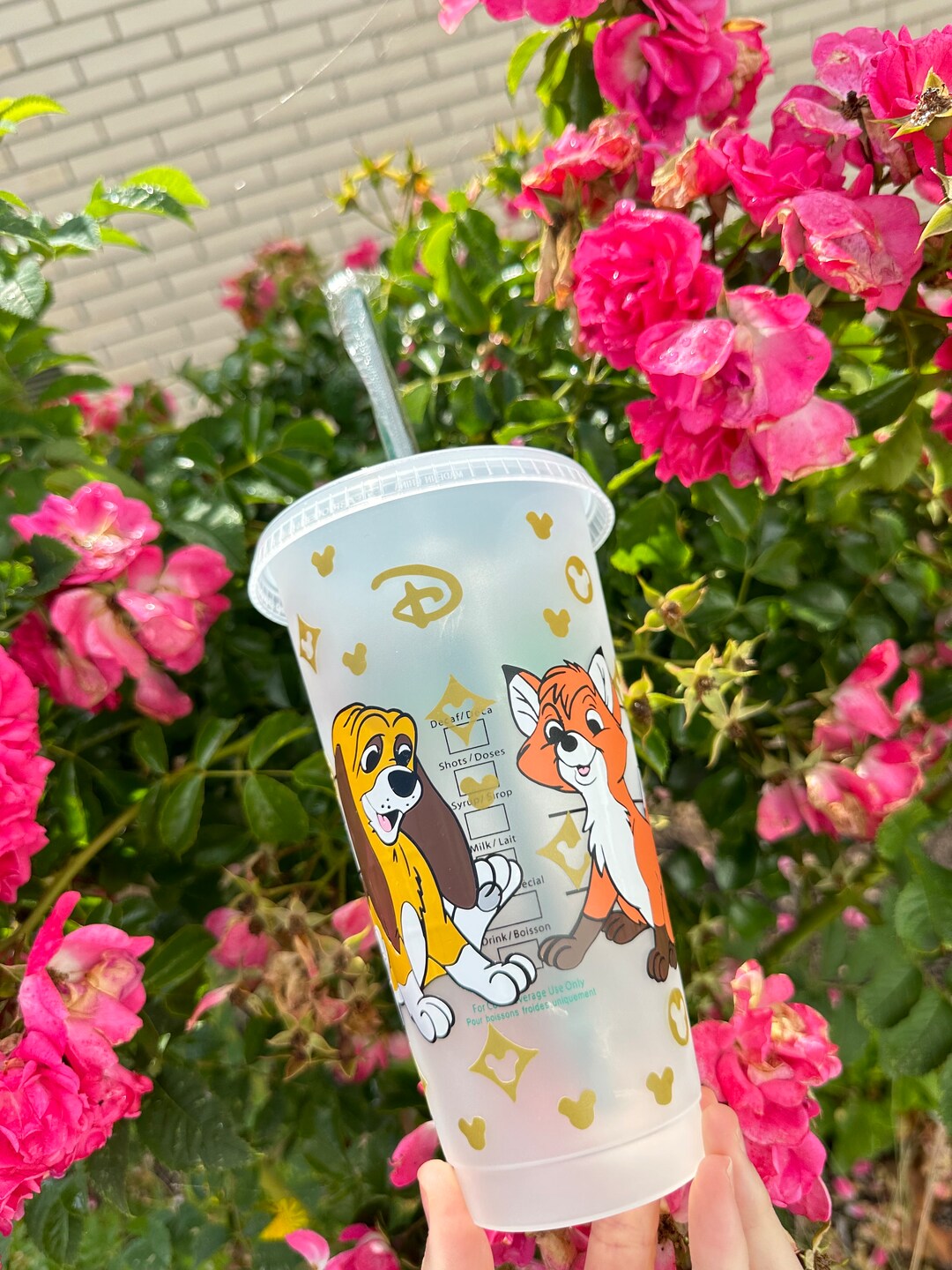 Rox and Rooky Water Bottle, Cup the Fox and the Hound, Cup ...