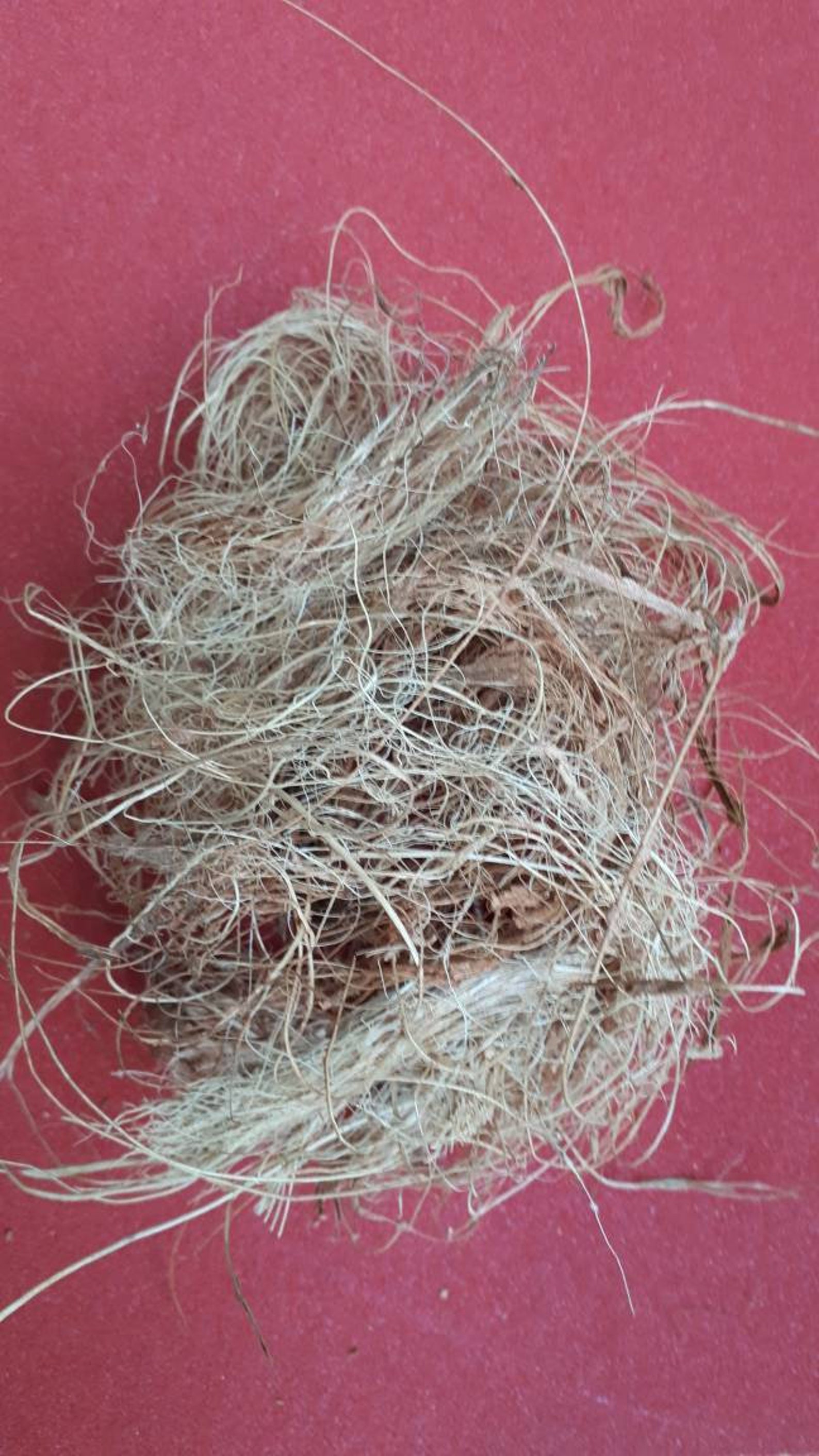 Coconut Husk Coir Fiber 100g - Etsy