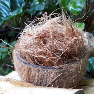 Coconut Husk Coir Fiber 100g - Etsy