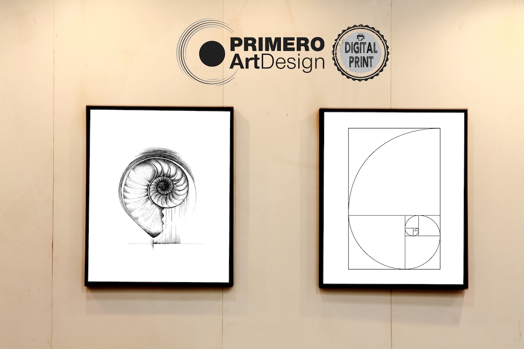 Snail and Fibonacci Set Animal Wall Art, Printable Animal Gift - Etsy