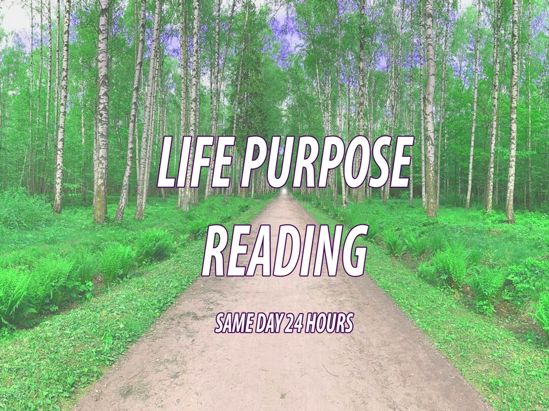 Life Purpose Reading in Depth Life Lessons Obstacles Same Day 24 Hours Psychic Reading Message ...