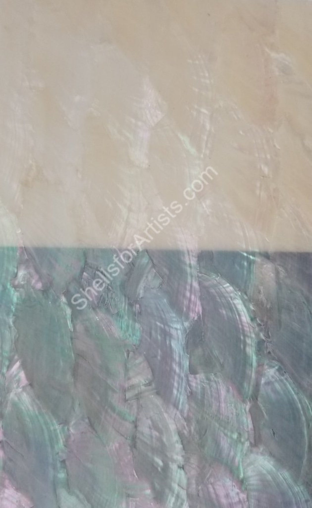 Donkey Ear Abalone Paper - Etsy