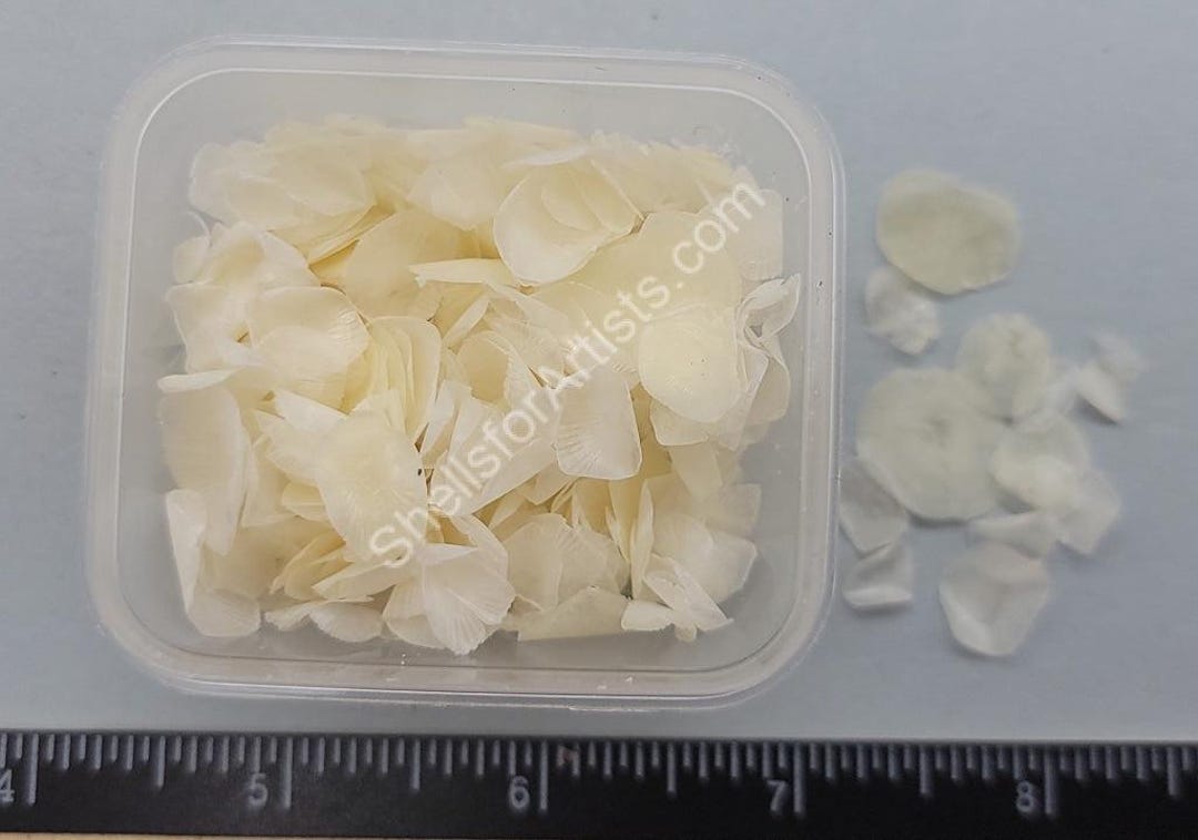 Small Tarpon Fish Scales - 4mm to 12mm - 1.75"x2"x1" Box - Etsy