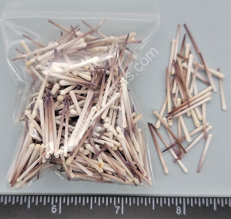 WITT: small, off-white, wood (maybe?) stick : r/whatisthisthing