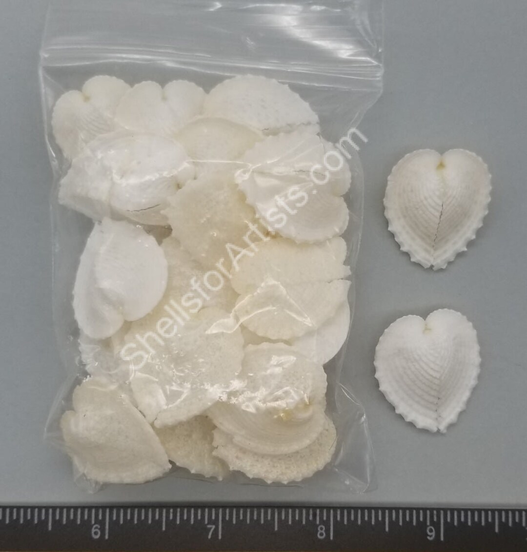 True Heart Cockles 20 Pairs - Etsy