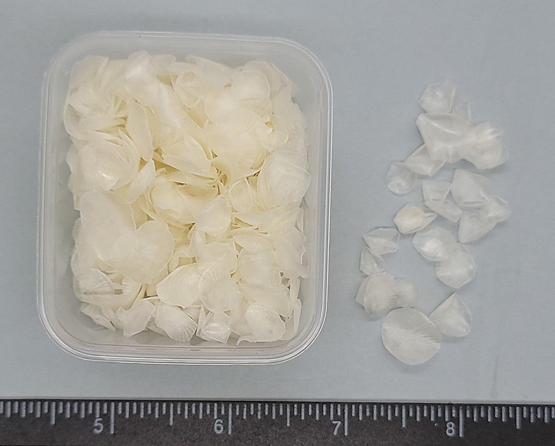 Smaller Tarpon Fish Scales - 7mm to 15mm - 1.75" X 2" X 1" Box - Etsy