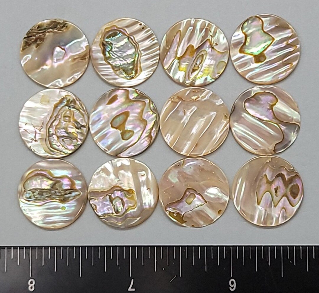 Vintage Green Abalone Discs - Etsy