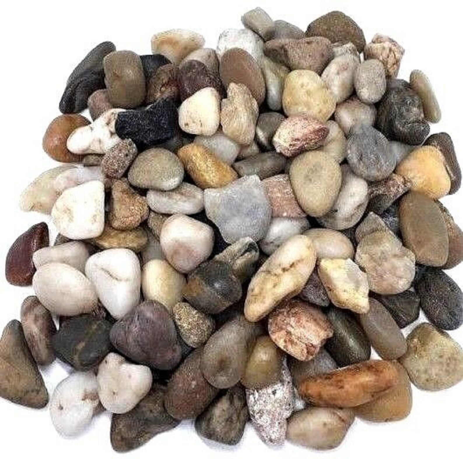 Stones Rocks 3pc From Holy Land Different Holy Sites Bethlehem Nazareth ...