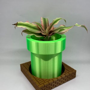 Super Mario Warp Tube Planter 3D Printed - Etsy