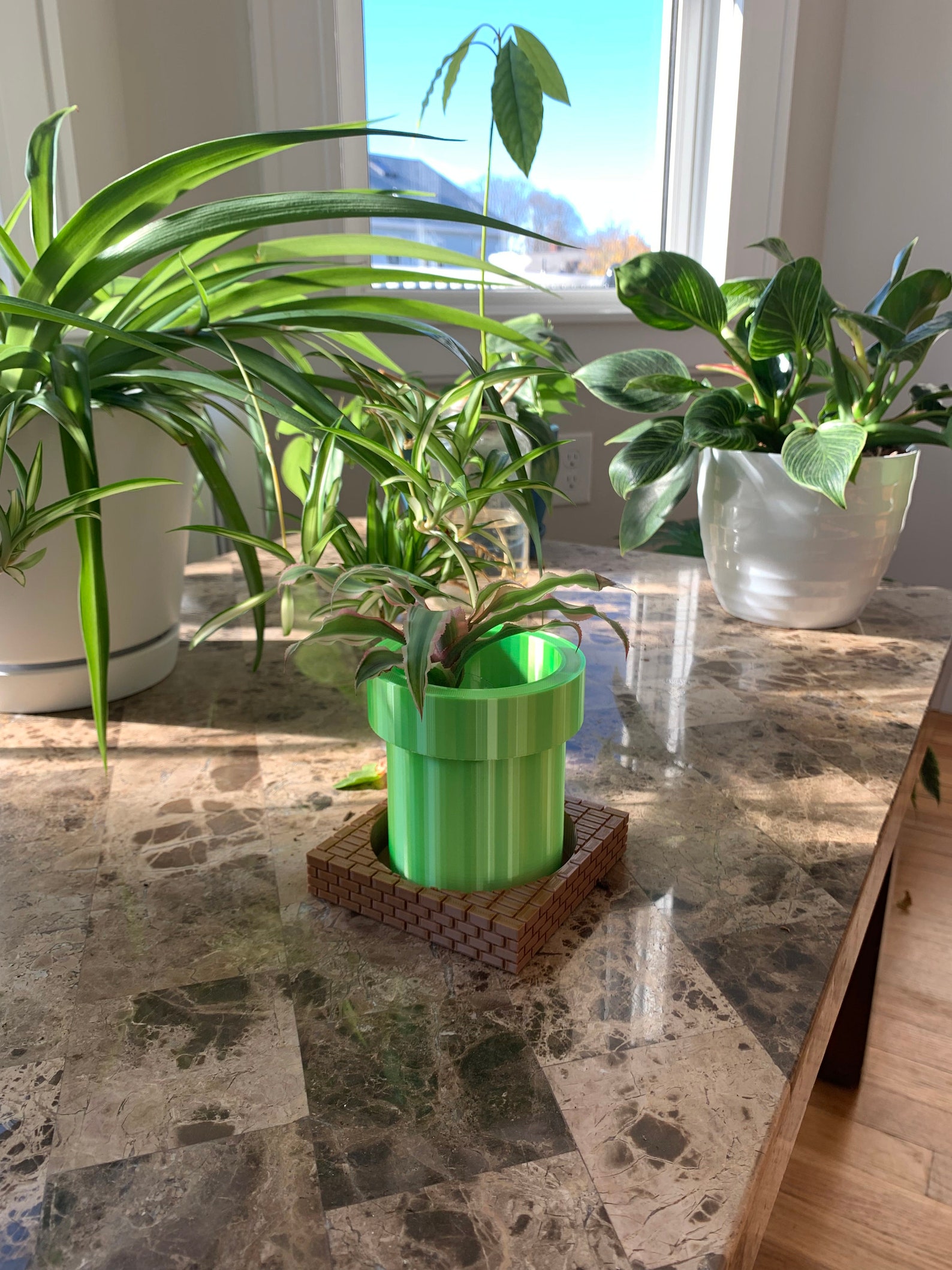 Super Mario Warp Tube Planter 3D Printed - Etsy