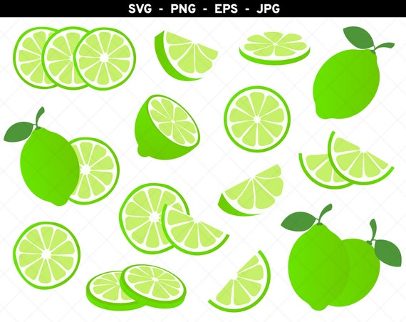 Lime Svg Bundle Lime Slice Svg Limes Svg Lime Cut File - Etsy