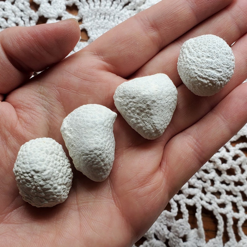 Snakeskin Agate - Etsy