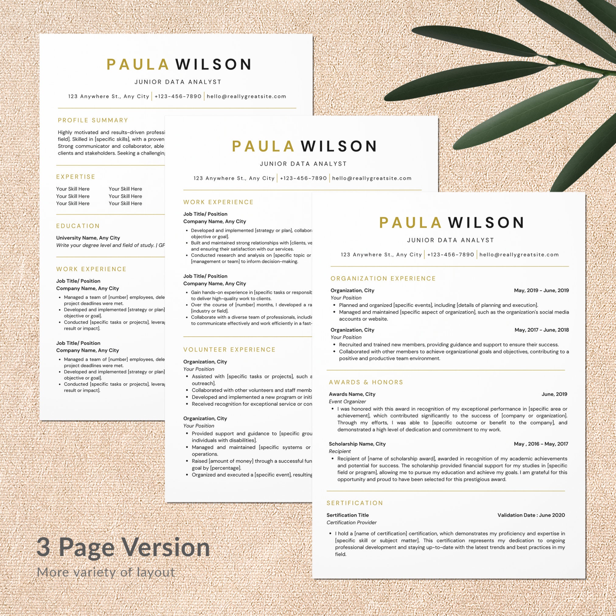 Resume ATS Friendly Canva, Cover Letter and References, Professional ...