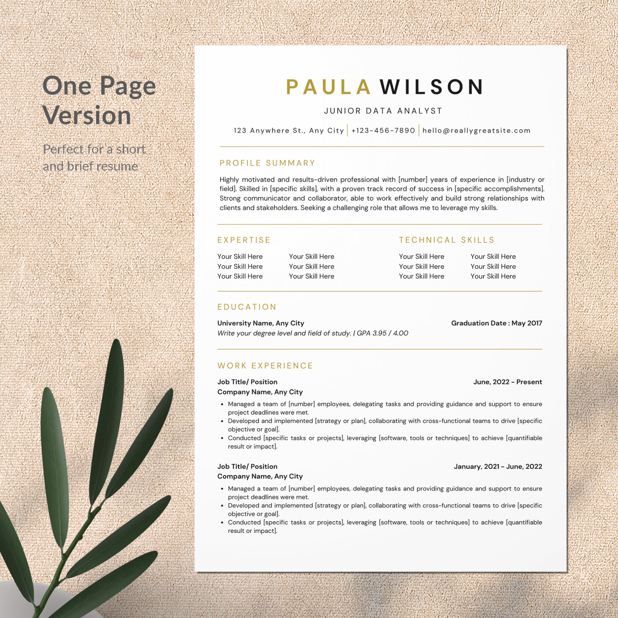 Resume ATS Friendly Canva, Cover Letter and References, Professional ...
