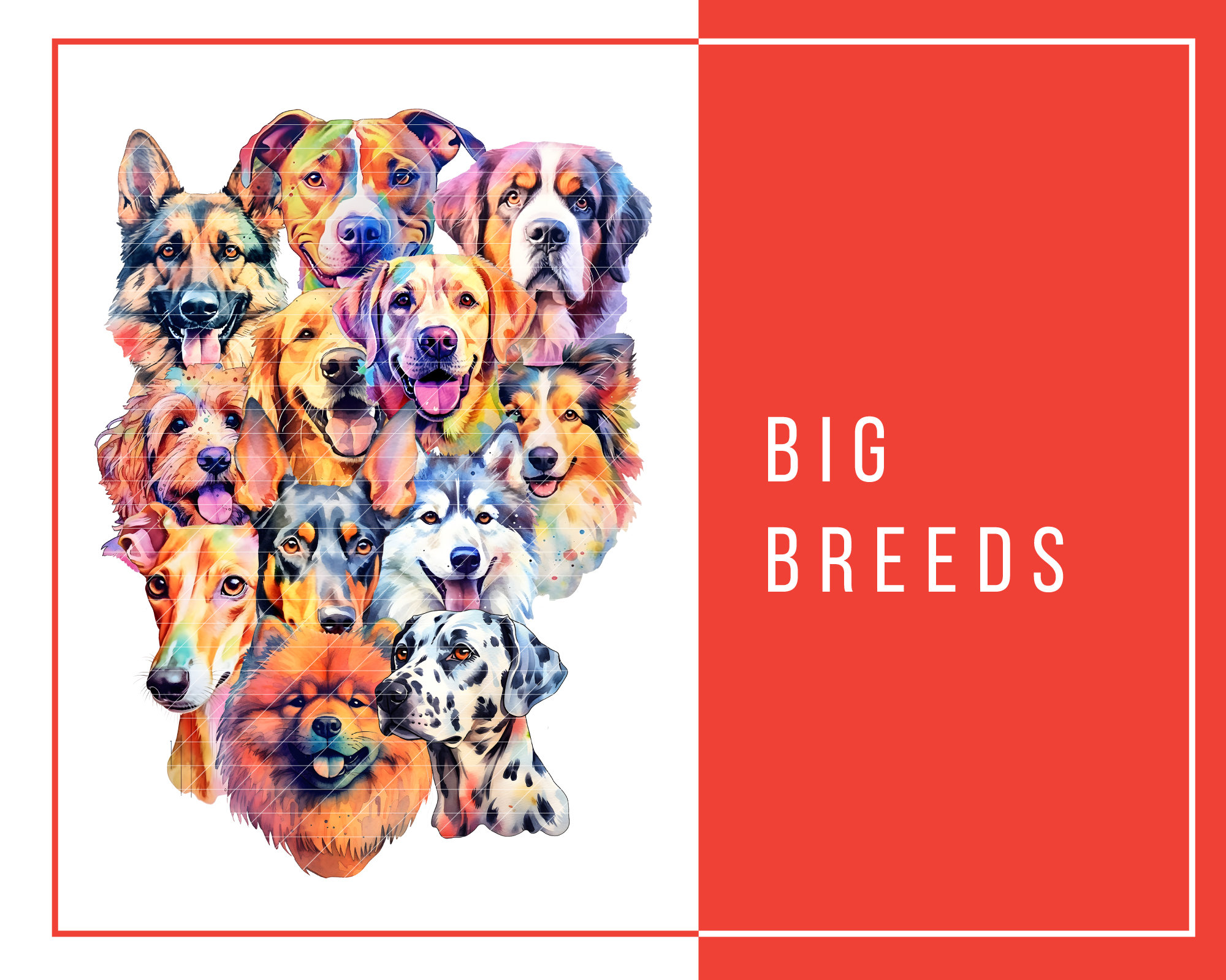 25 Colorful Watercolor Dog Breed Head Portraits Clip Art 25 - Etsy