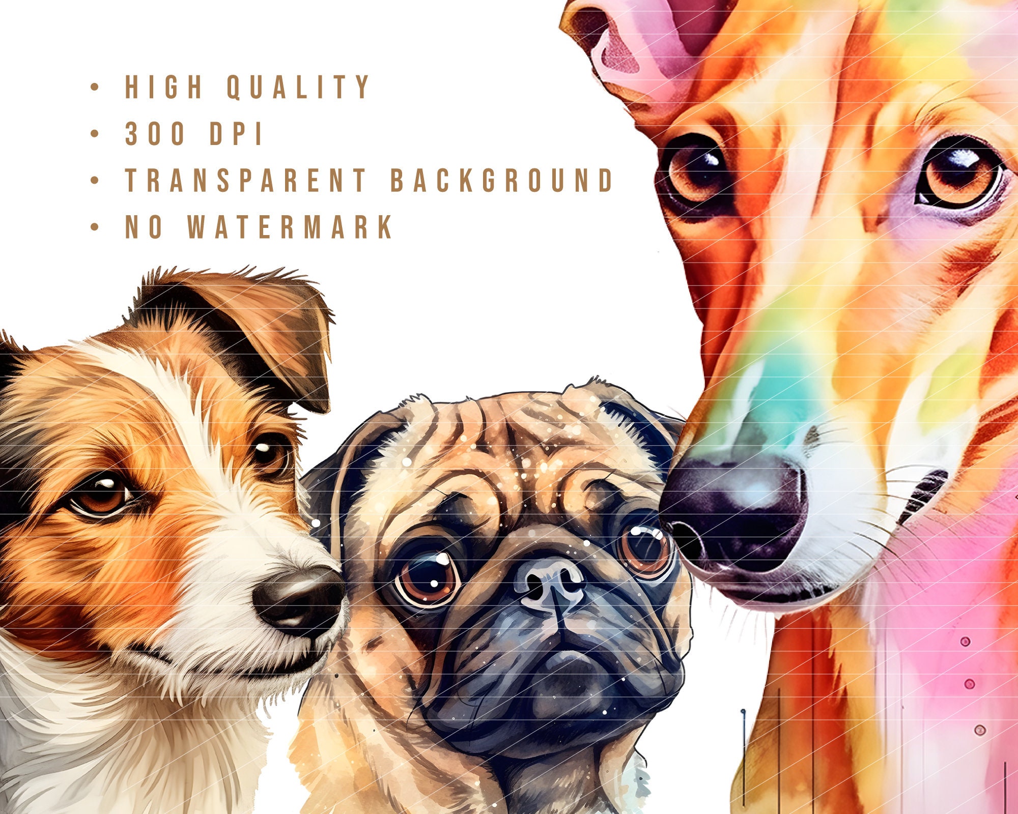 25 Colorful Watercolor Dog Breed Head Portraits Clip Art 25 - Etsy