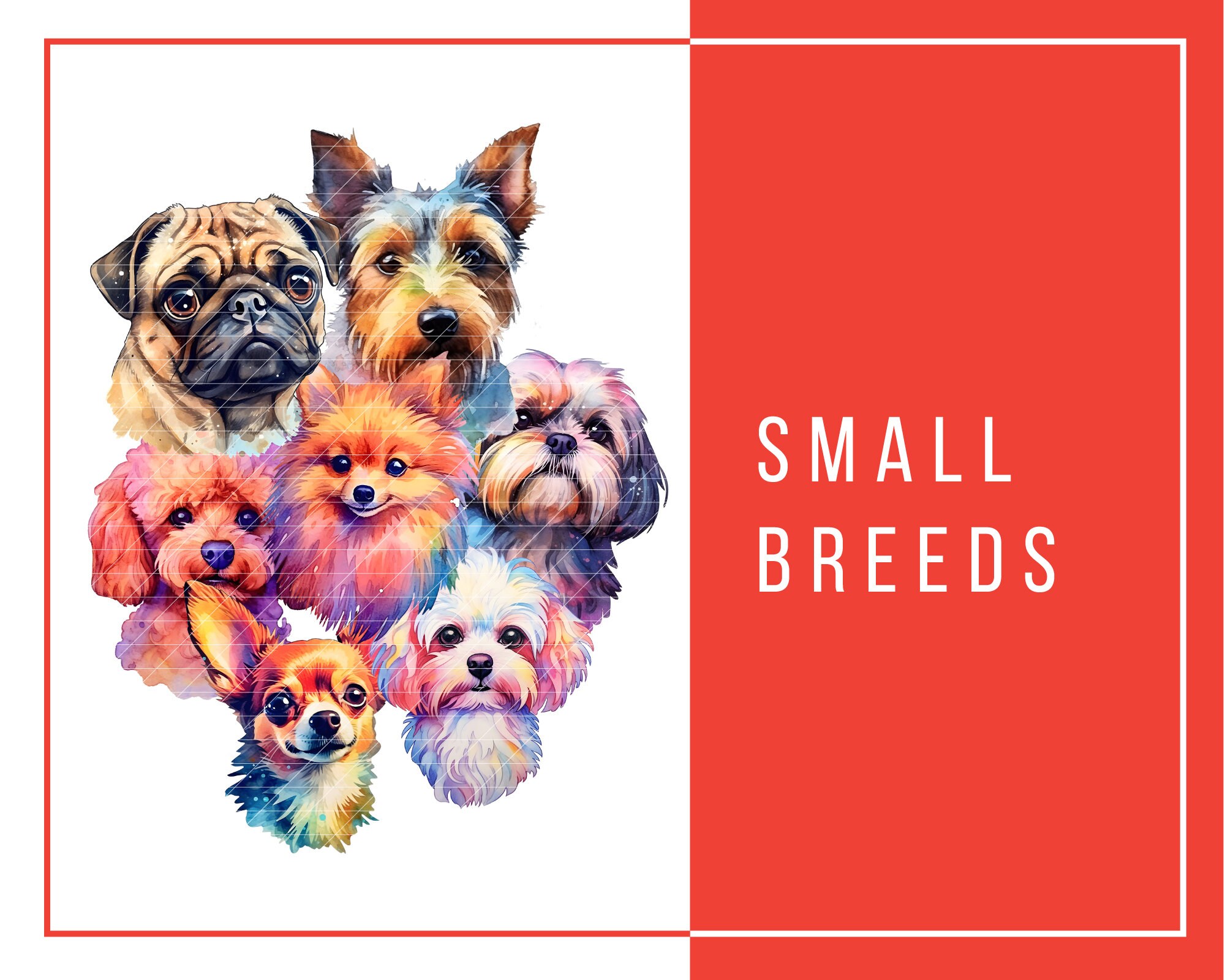 25 Colorful Watercolor Dog Breed Head Portraits Clip Art 25 - Etsy