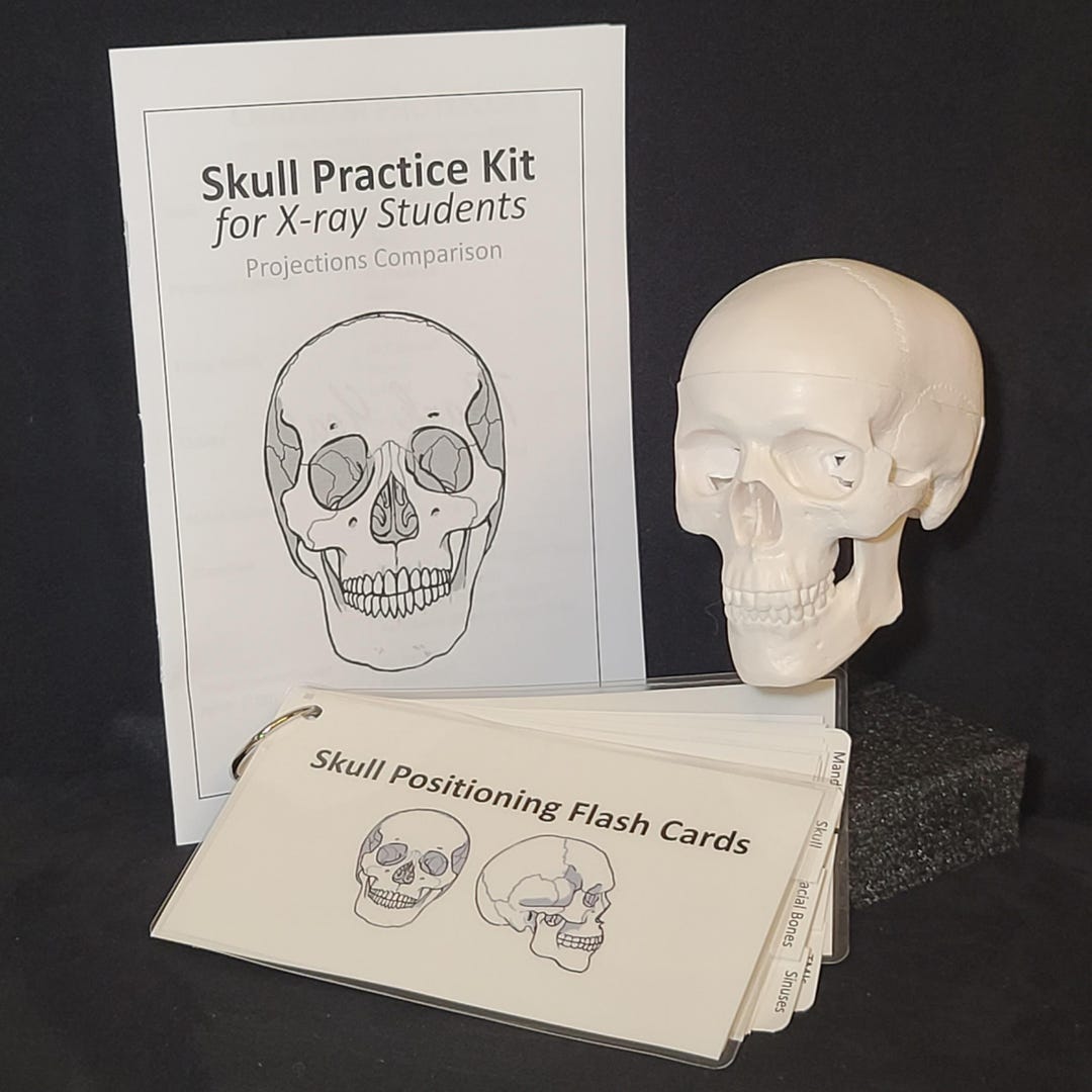 STUDENT Skull Positioning Kit W/ Flashcards GAME! - Etsy