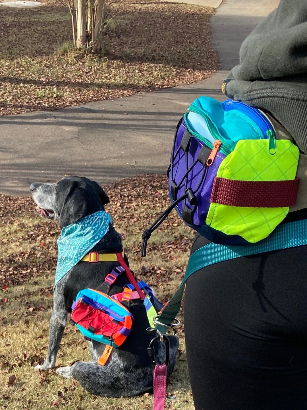 Hemlock Hound People Panniers Double Pocket Waist Pack - Etsy