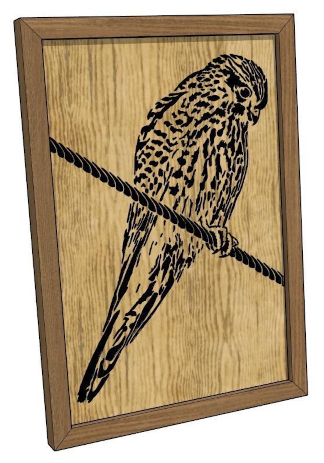 The Kestrel Bird Hawk Portrait Scroll Saw Cutting Pattern Scrollsaw Patterns PDF PNG - Etsy New ...