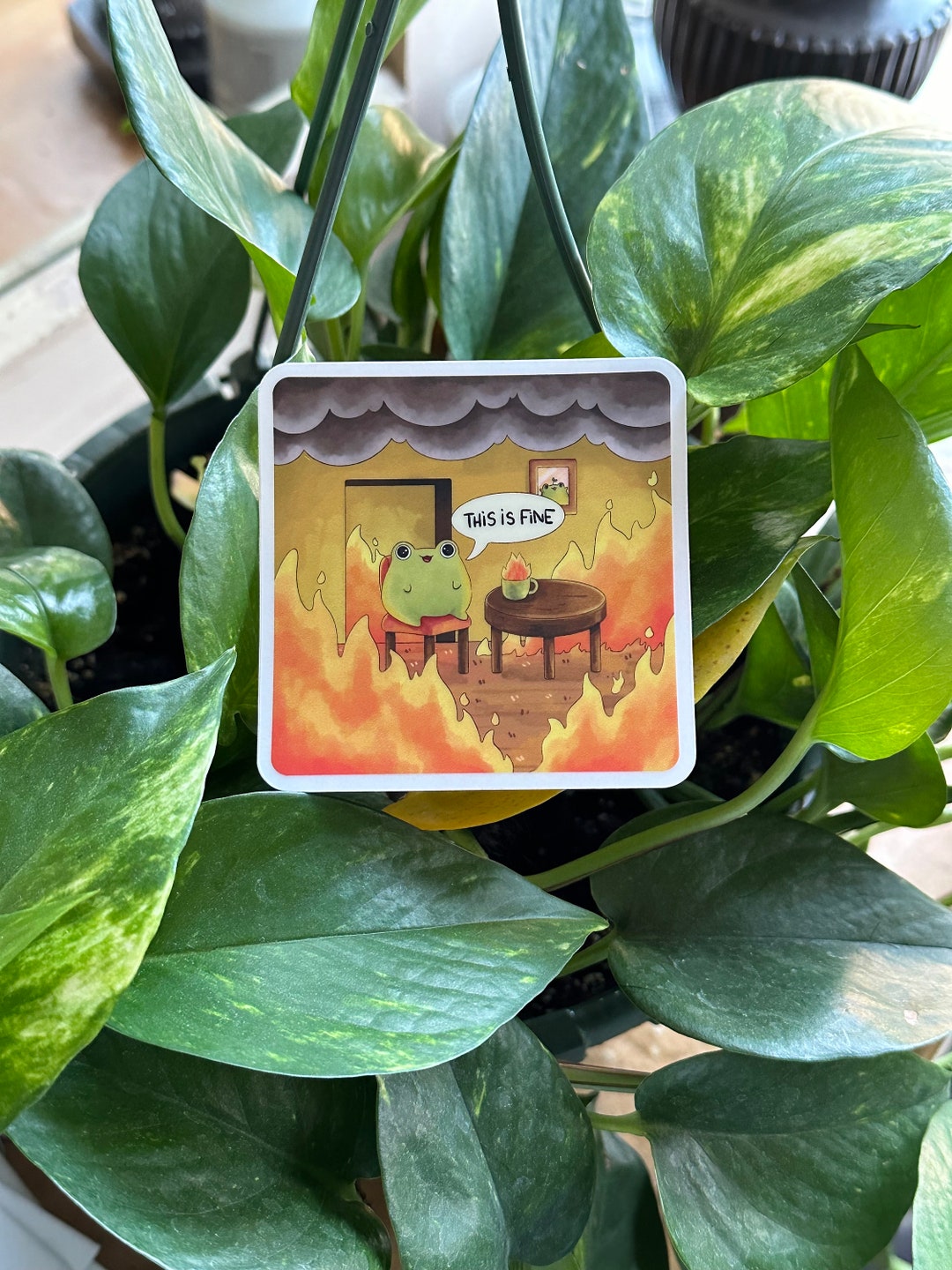 This is Fine Frog Sticker, Frog Sticker, Waterproof, Laptop Sticker ...