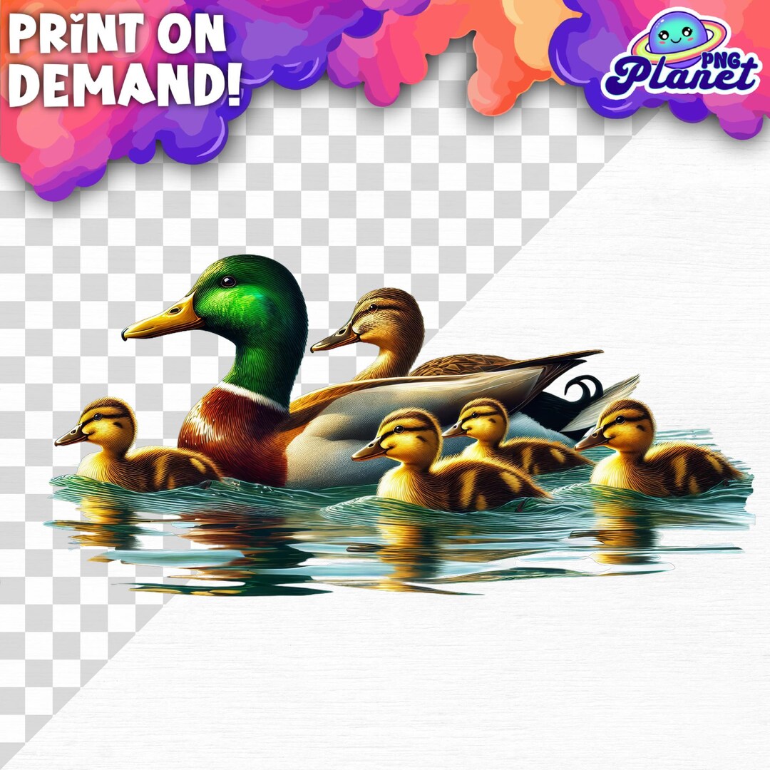 Mallard Duck Family PNG Wild Duck Sublimation PNG Mallard Duck ...