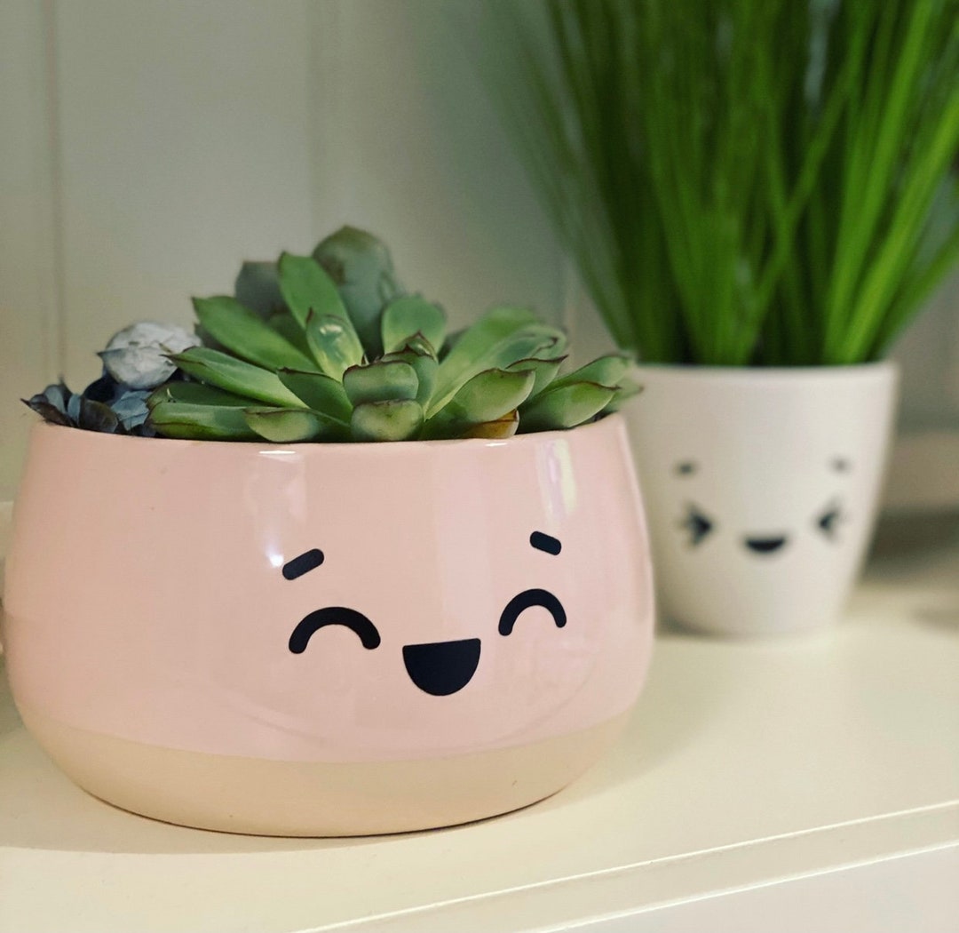 3 Plant Pot Sticker Faces (pack of 3) - Premium Vinyl Labels/stickers ...
