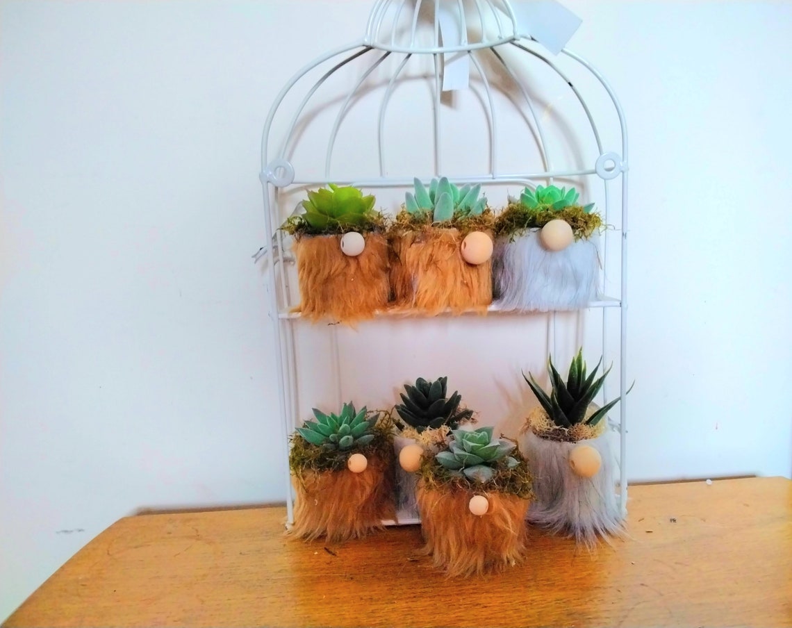 Mini Suculent Gnomes Mini Succelent Gonk Artificial - Etsy