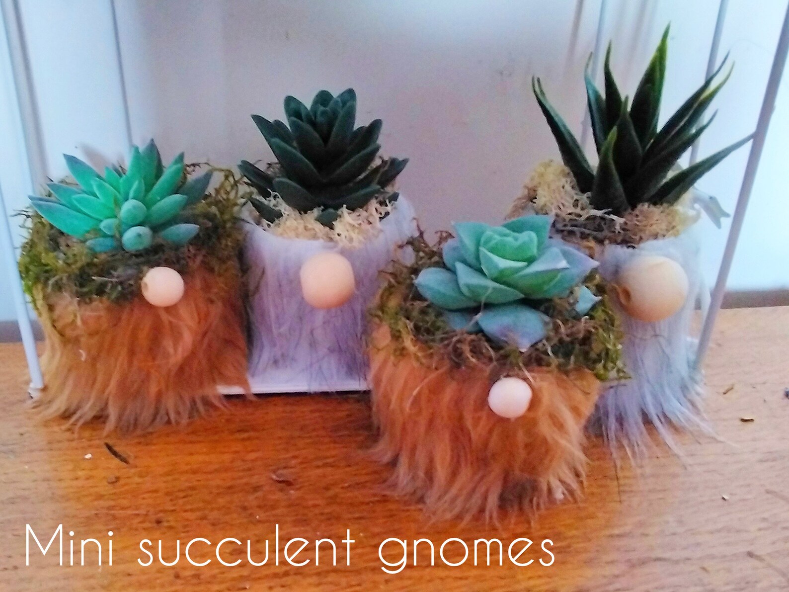 Mini Suculent Gnomes Mini Succelent Gonk Artificial - Etsy