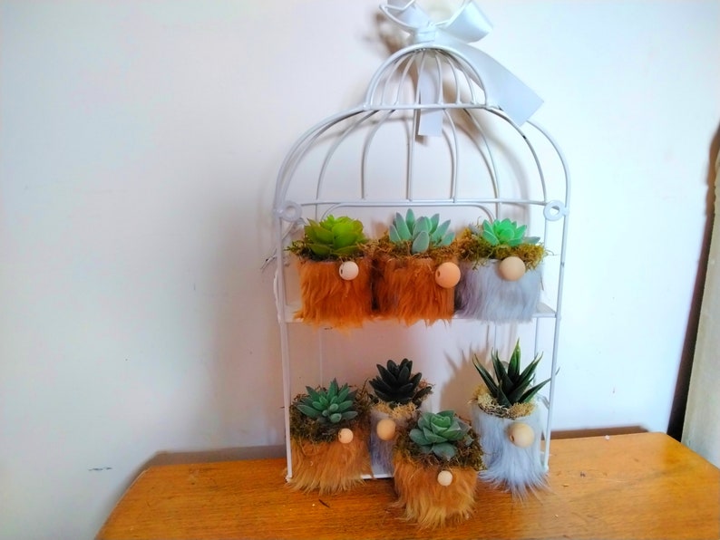 Mini Suculent Gnomes Mini Succelent Gonk Artificial - Etsy