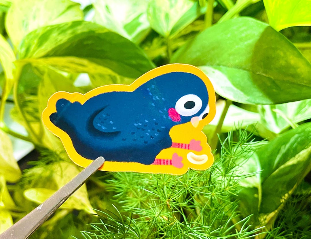 Pigeon Chip Sticker, Funny Sticker for Bird Lovers, No Thoughts in Head ...