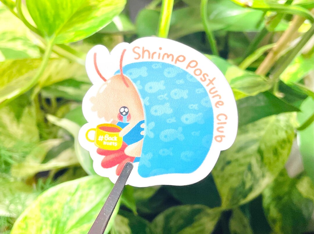 Shrimp Posture Sticker, Back Hurts, Funny Meme Sticker, Hurt, Pain - Etsy